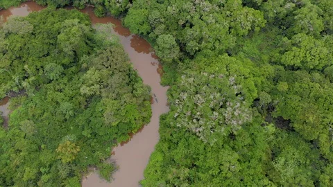 Canoe crossing at river in the amazon ra... | Stock Video | Pond5