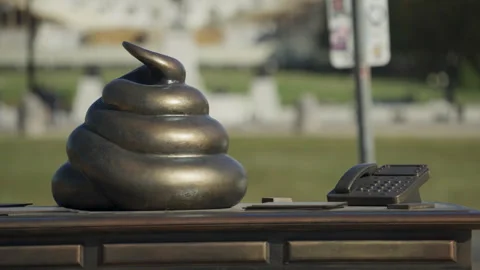 Capitol Hill January 6 Memorial Poop Emo... | Stock Video | Pond5