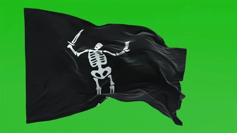 Skull Green Screen Stock Videos – Royalty-Free HD & 4K Videos | Pond5