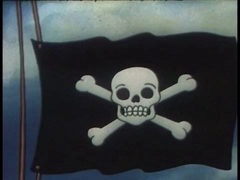 The captain of a pirate ship and his pet... | Stock Video | Pond5