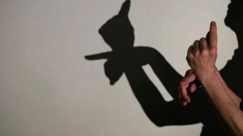 Captivating shadow puppetry hand gesture... | Stock Video | Pond5
