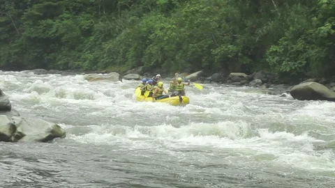 E Thrilling Stock Videos – Royalty-Free HD & 4K Videos