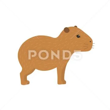 Capybara vector illustration: Royalty Free #72245466