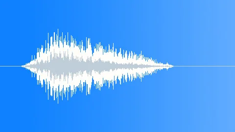 Car Breaking Skid ~ Stock Sound Effect #229454706 | Pond5