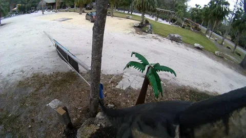 Cctv Crash Car Stock Videos – Royalty-Free HD & 4K Videos | Pond5