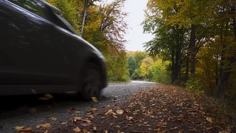 A car driving through an autumnal forest... | Stock Video | Pond5