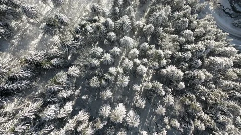 Car driving on winter country road in sn... | Stock Video | Pond5