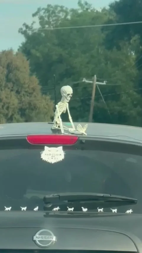 Skeleton In Car Stock Videos – Royalty-Free HD & 4K Videos | Pond5
