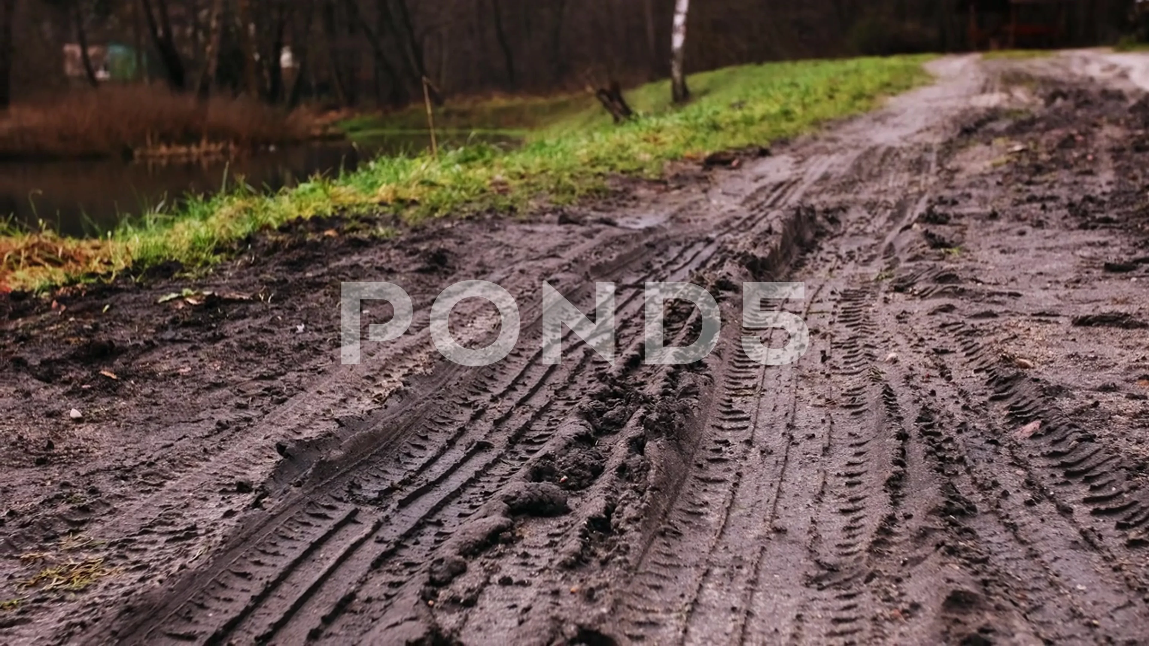 Tire Tracks In Mud