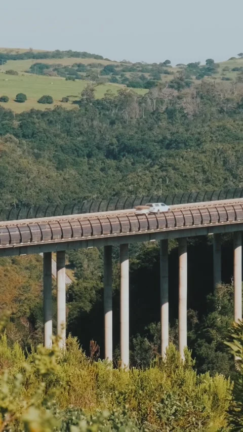 Long Trailer Stock Videos – Royalty-Free HD & 4K Videos | Pond5