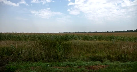 Window Bview Stock Videos – Royalty-Free HD & 4K Videos