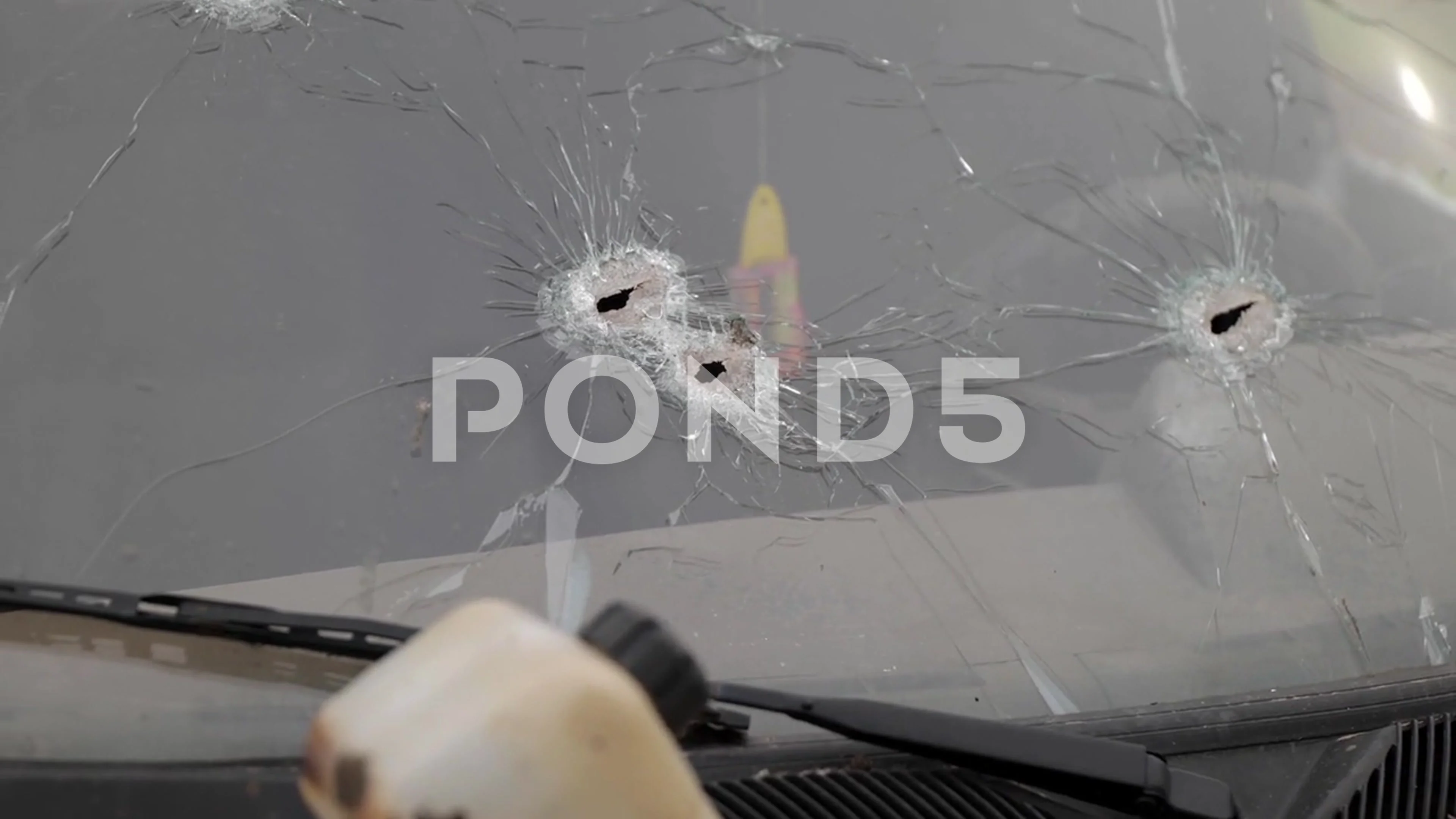 Bullet Holes In Windshield