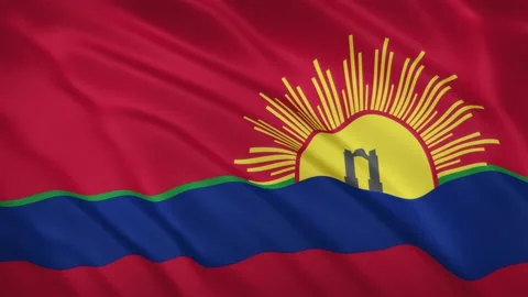 Carabobo - Waving Flag Video Background | Stock Video | Pond5