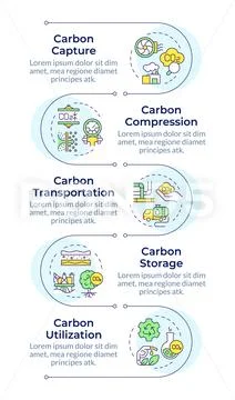 Carbon capture methodology infographic vertical sequence: Graphic ...