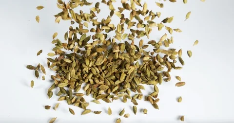 Cardamom Stock Video Footage | Royalty Free Cardamom Videos | Pond5
