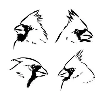 Cardinal Head Silhouette