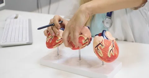 A cardiologist with a stethoscope explai... | Stock Video | Pond5