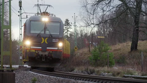 Cargo Timber Train Hauled by powerful Si... | Stock Video | Pond5