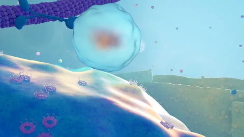 Cargo transport in cell, animation | Stock Video | Pond5