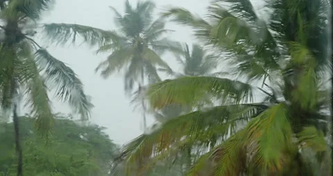 Caribbean Hurricane outside the window, ... | Stock Video | Pond5