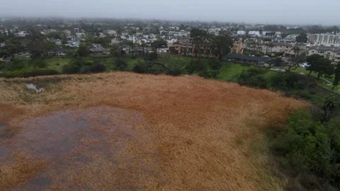 Carlsbad Lagoon fire aftermath, aerial v... | Stock Video | Pond5