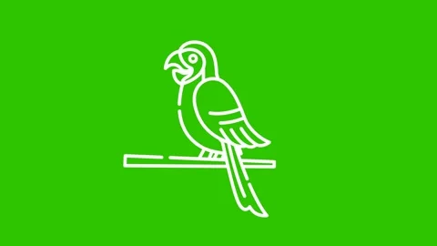 Carnival icons pack green screen backgro... | Stock Video | Pond5