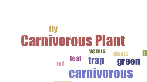 Carnivorous Plants Isolated Stock Footage ~ Royalty Free Stock Videos ...