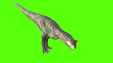 Carnotaurus Drink Green Screen Animation... | Stock Video | Pond5
