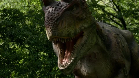 Carnotaurus in Forest Scary Predator Din... | Stock Video | Pond5