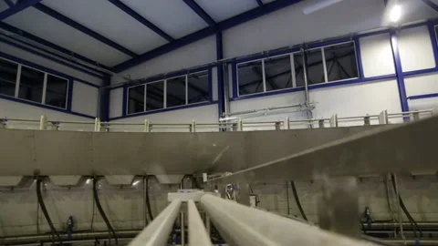 Carousel milking parlor for cows, Cow mi... | Stock Video | Pond5