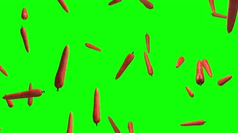 carrot vegetable green screen animation | Stock Video | Pond5