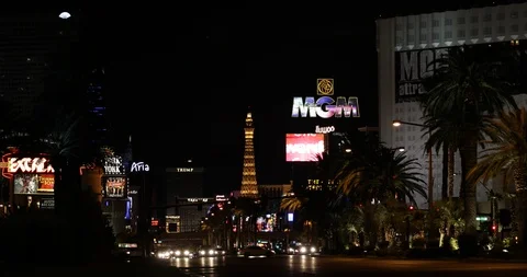 Busy On Busy Stock Videos – Royalty-Free HD & 4K Videos | Pond5