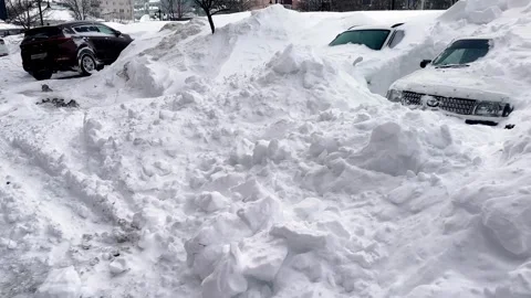 Ice Storm Status Stock Videos – Royalty-Free HD & 4K Videos