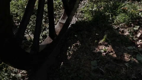 Turning Wheel Stock Video Footage | Royalty Free Turning Wheel Videos ...