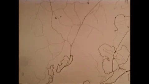 Cartographic Stock Video Footage | Royalty Free Cartographic Videos | Pond5