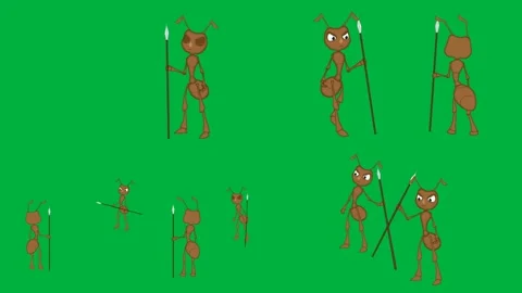 Ants On Green Screen Stock Videos – Royalty-Free HD & 4K Videos