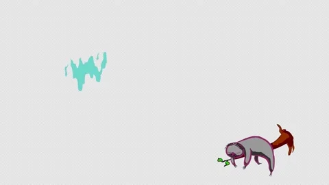 Cartoon Animals Animations Motion Graphi... | Stock Video | Pond5