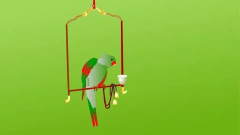 cartoon animated green parrot background... | Stock Video | Pond5