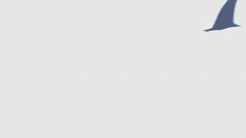 Cartoon Shark Stock Video Footage | Royalty Free Cartoon Shark Videos ...