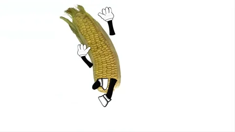 Corn Plant Cartoon Stock Videos – Royalty-Free HD & 4K Videos