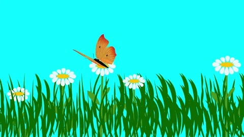 Cartoon animation of plants and flowers,... | Stock Video | Pond5