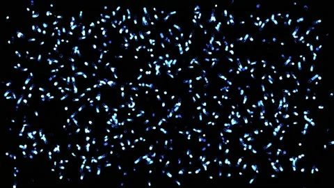 Bacteria Background Stock Footage ~ Royalty Free Stock Videos | Pond5