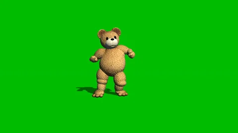 Bear Green Screen Stock Video Footage | Royalty Free Bear Green Screen ...