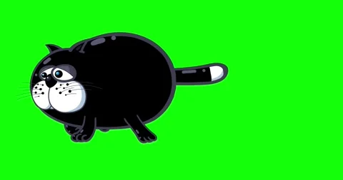 Go Go Anim Stock Footage ~ Royalty Free Stock Videos | Pond5