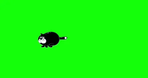 Zoo Cartoon Stock Video Footage | Royalty Free Zoo Cartoon Videos | Pond5