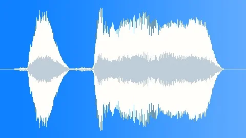 Cartoon Hey Sound Effects - 649 Cartoon Hey sounds for SFX projects | Pond5