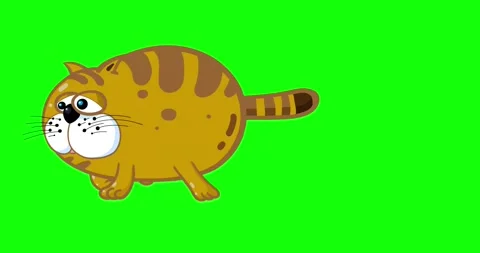 Cartoon Cat Stock Footage ~ Royalty Free Stock Videos | Pond5