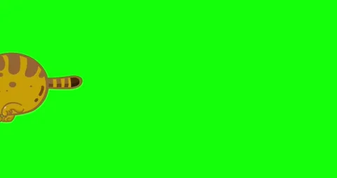 Cartoon Cat Stock Footage ~ Royalty Free Stock Videos | Pond5