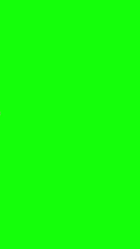 Cartoon ginger Hamster on Green Screen B... | Stock Video | Pond5