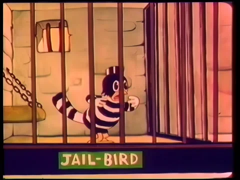 Cartoon Bird Images Stock Videos – Royalty-Free HD & 4K Videos